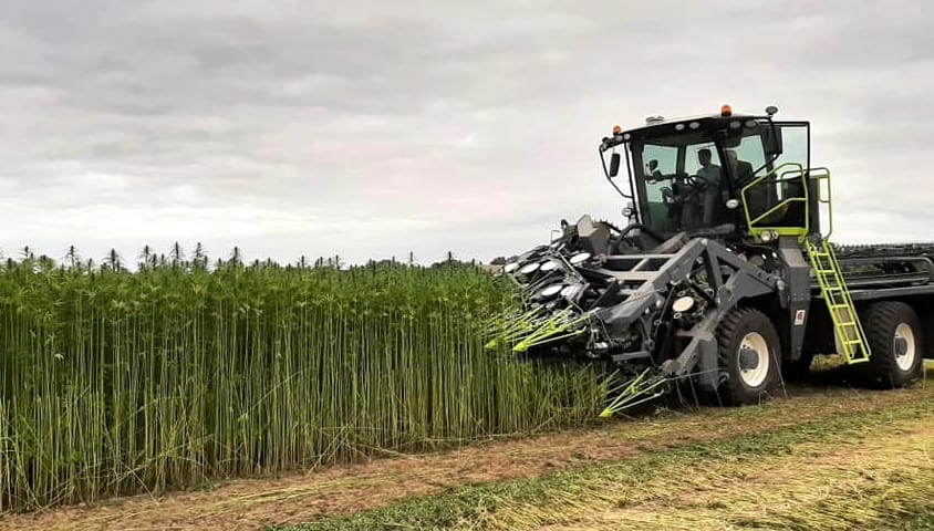 Nouvelle récolteuse de chanvre Hyler, coopérative linière du nord de Caen
